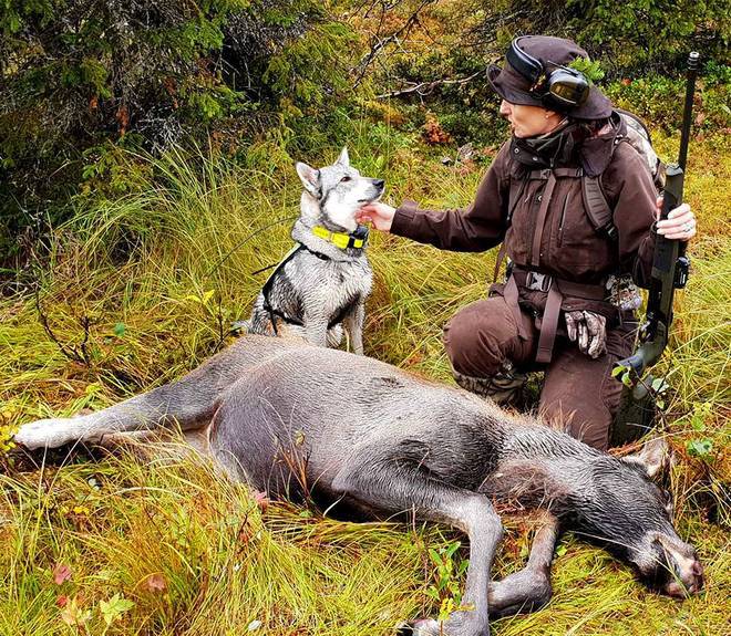 New Aimpoint Story - Moose hunting in Sweden | Aimpoint