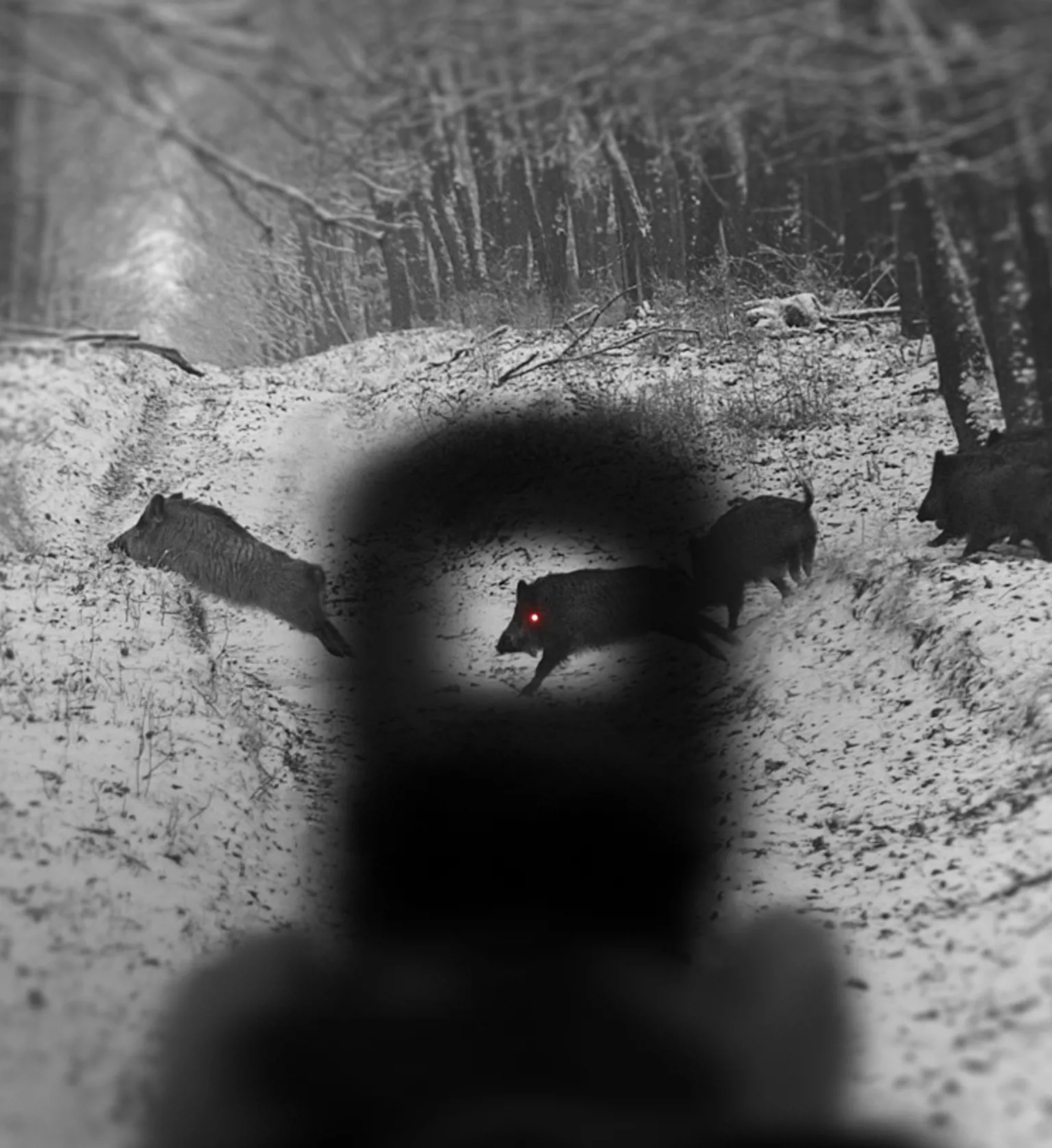 Aimpoint - Improve your shooting with Aimpoint | Aimpoint