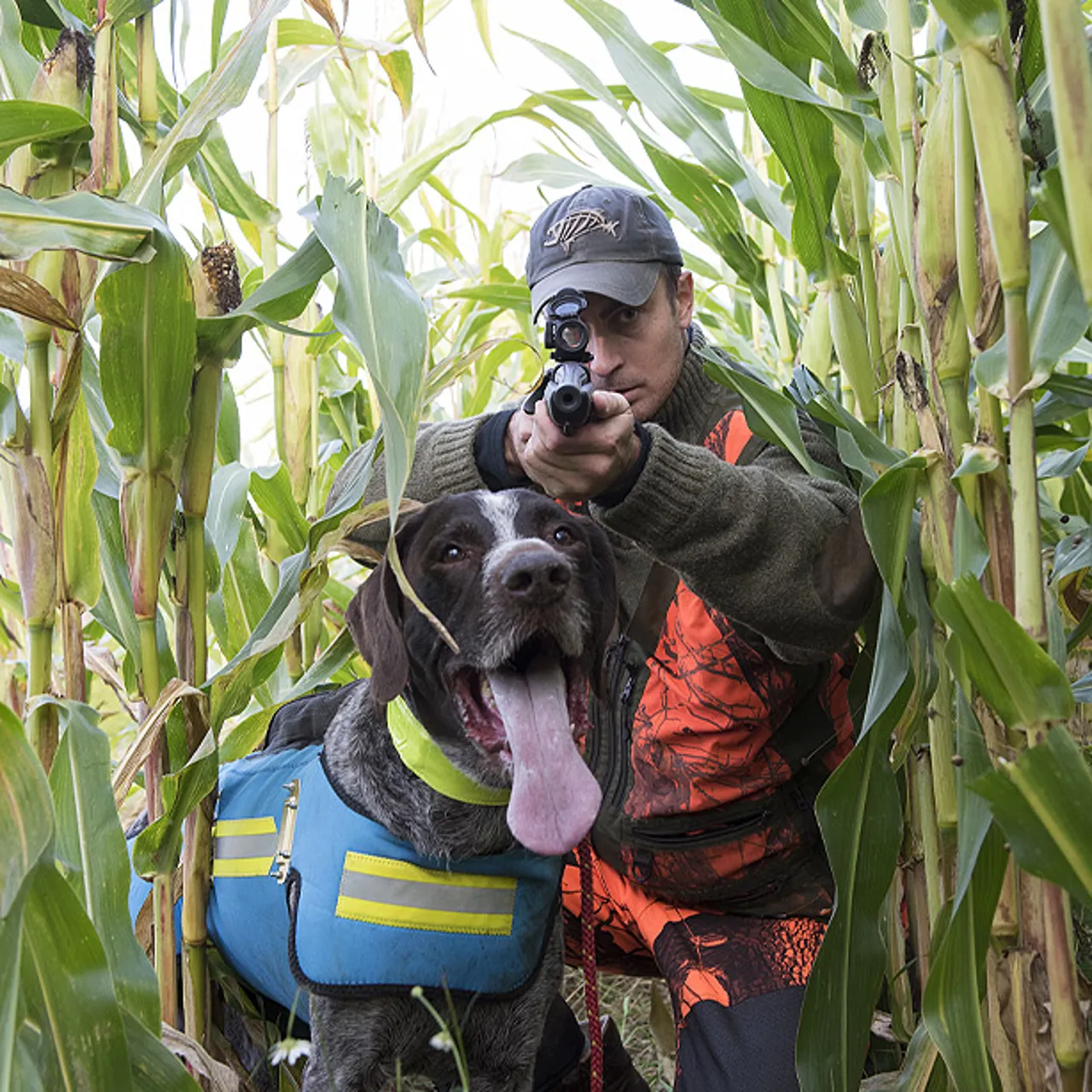 Aimpoint - Dog handling. A passion for dogs | Aimpoint
